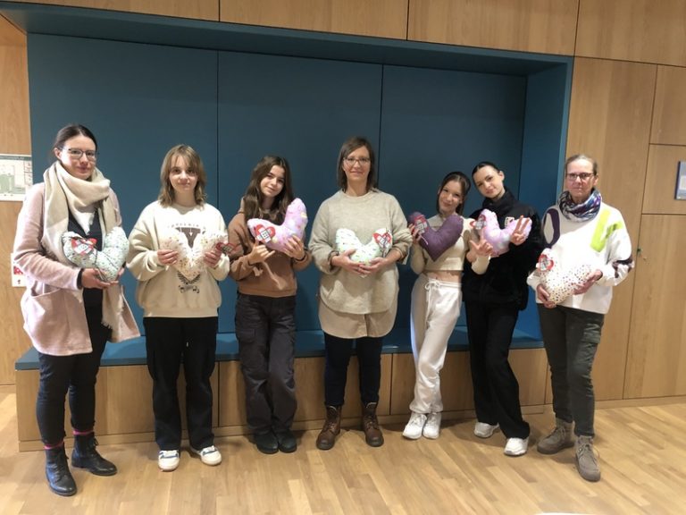 AES Kl. 8: Schüler und Schülerinnen organisieren ein Herzkissen-Projekt ...